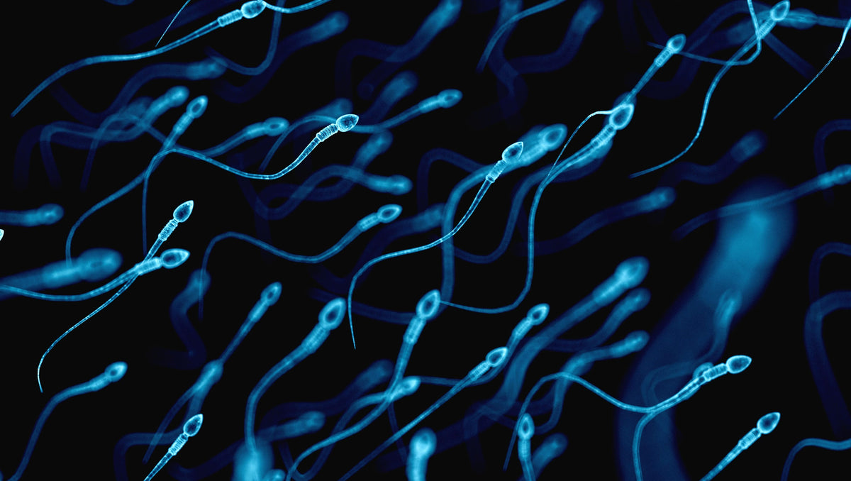 Falling sperm counts that threaten human survival linked to chemical e ...